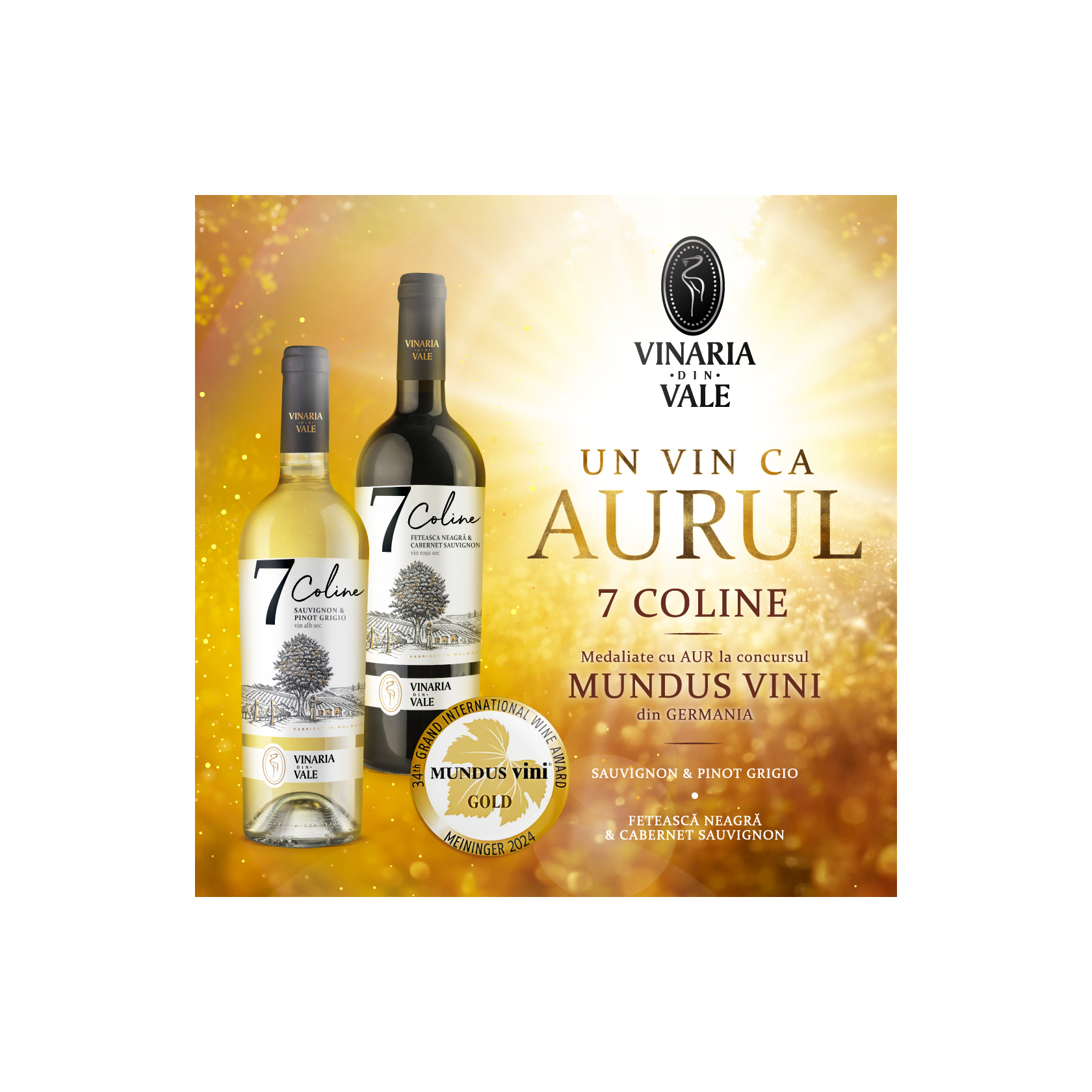 7 Coline de la Vinaria din Vale – un vin ca aurul - NewsMaker